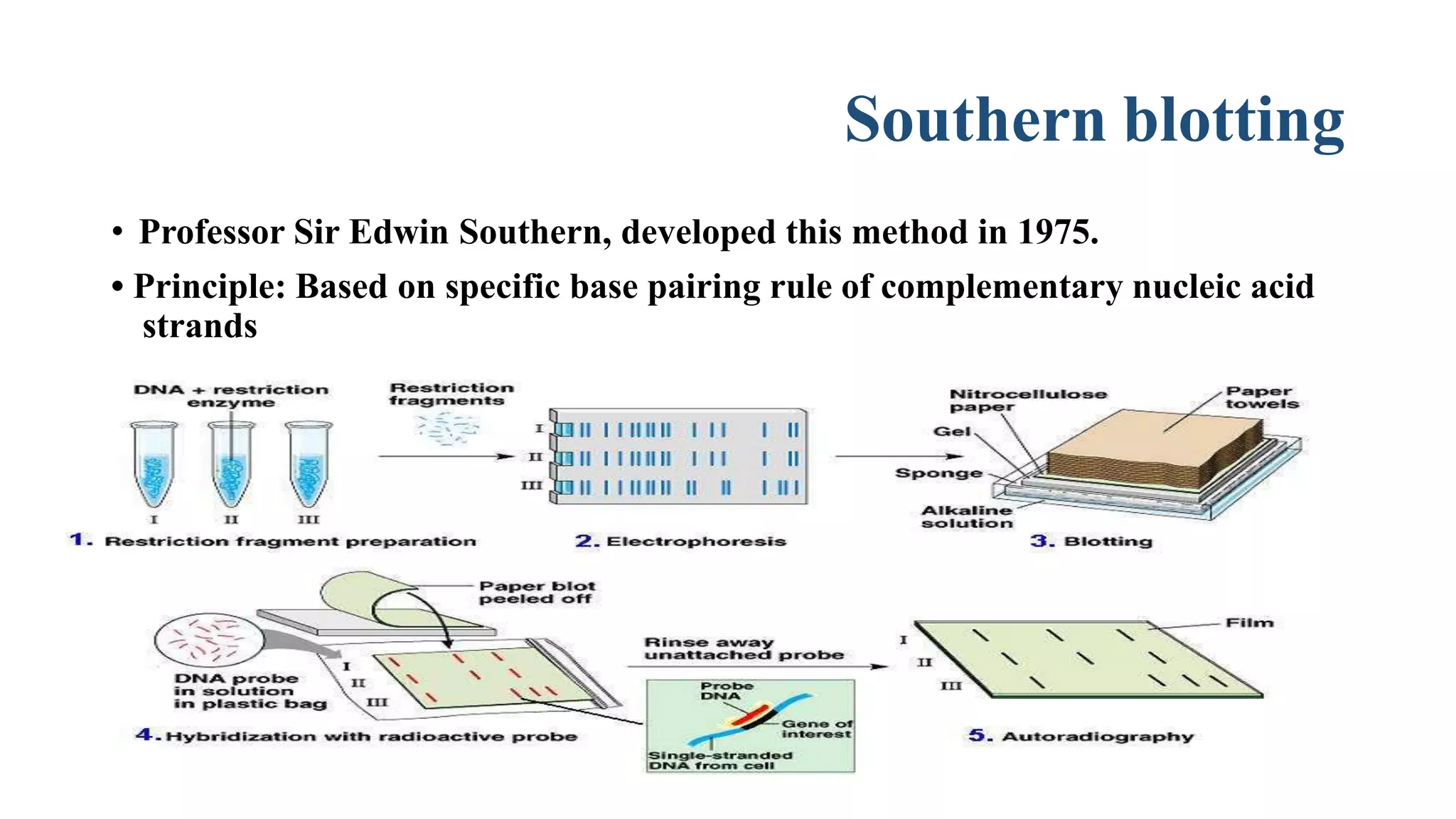 Nucleic acid techniques in diagnostic microbiology | PPTX
