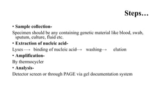 Nucleic acid techniques in diagnostic microbiology | PPTX