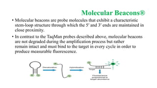 Nucleic acid techniques in diagnostic microbiology | PPTX