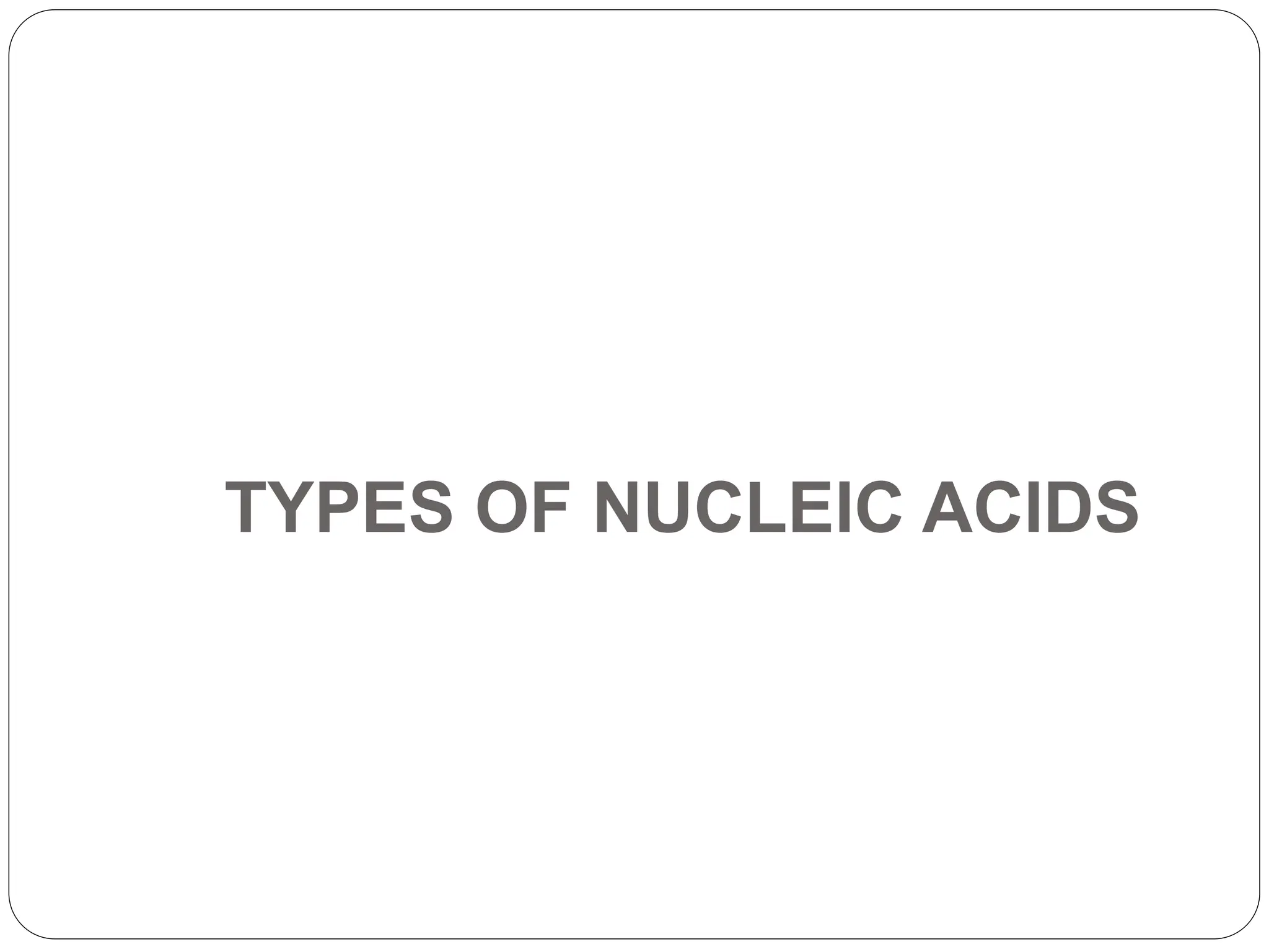 Nucleic Acid types and structure.pptx full | PPTX
