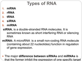 Nucleic Acid types and structure.pptx full | PPTX