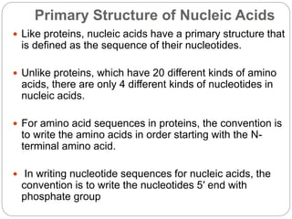 Nucleic Acid types and structure.pptx full | PPTX