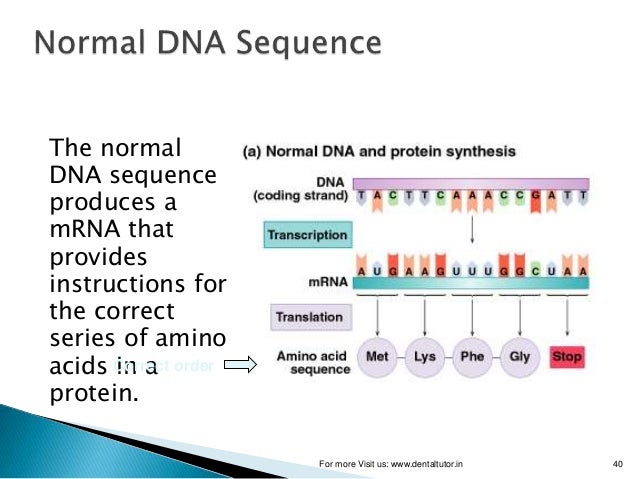 Nucleic acid