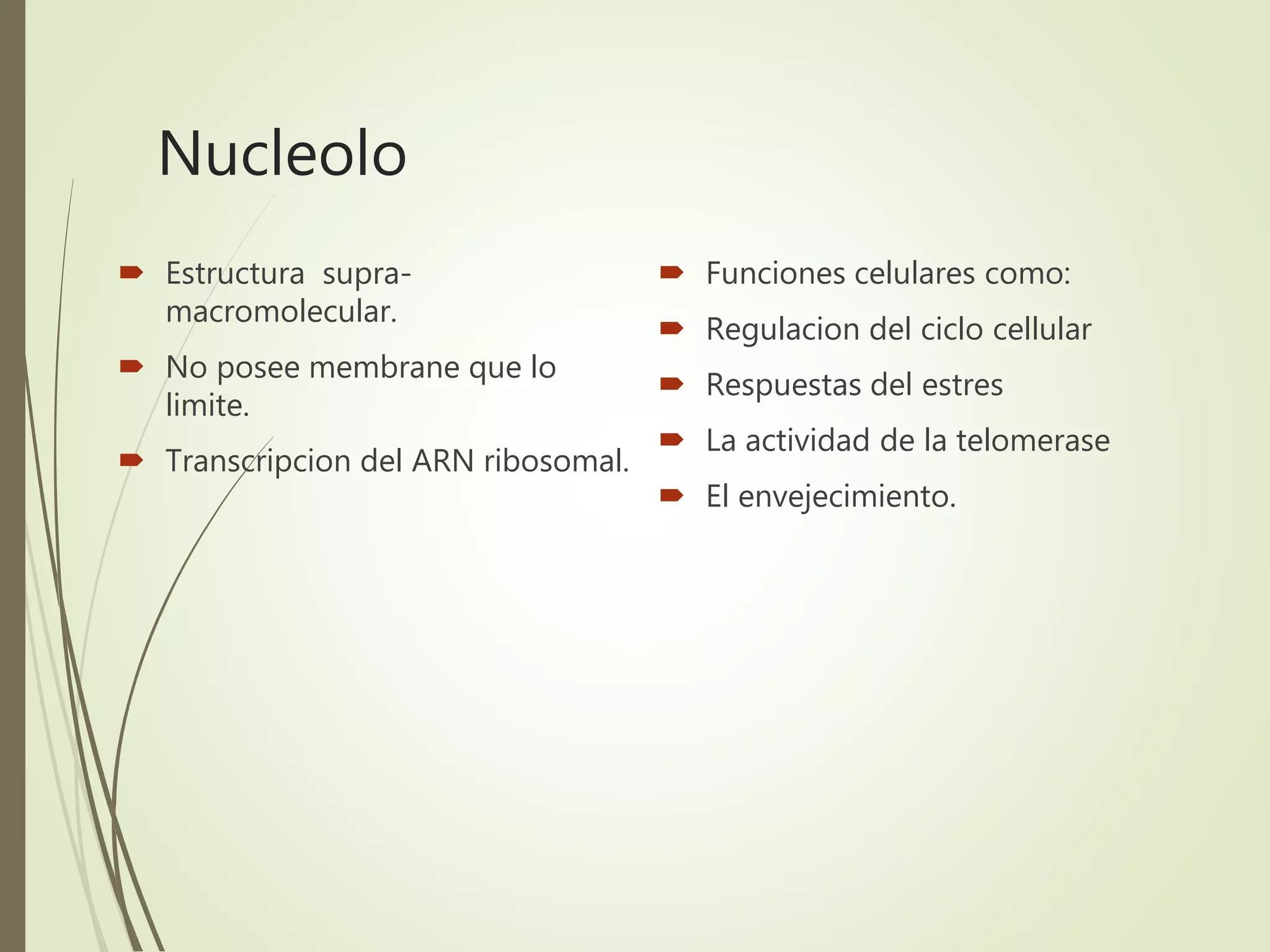 Núcleo, Nucléolo y Membrana Nuclear | PPTX | Endocrine and Metabolic ...