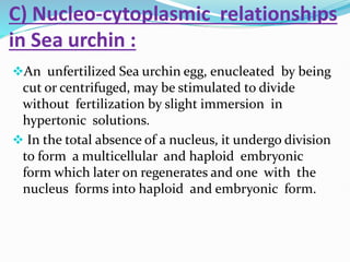 NUCLEOCYTOPLASMIC-INTERACTIONS.pdf cell biology | PDF