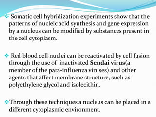 NUCLEOCYTOPLASMIC-INTERACTIONS.pdf cell biology | PDF
