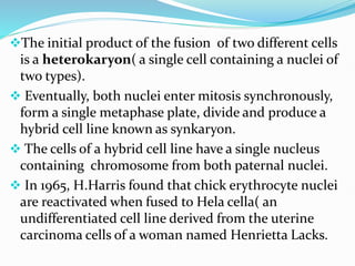 NUCLEOCYTOPLASMIC-INTERACTIONS.pdf cell biology | PDF
