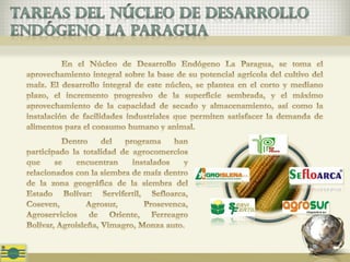 Nucleo endogeno | PDF