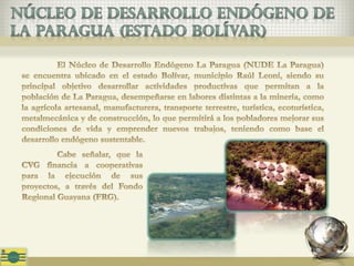 Nucleo endogeno | PDF