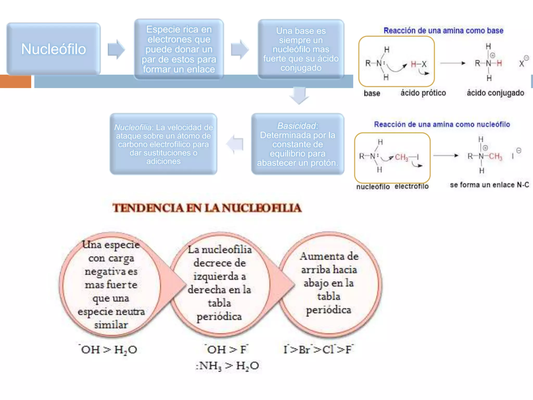Nucleofilo electrofilo1 | PPTX
