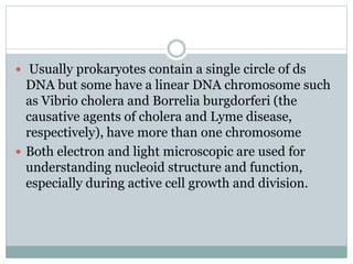 Nucleoid or prokaryotic genetic material | PPTX