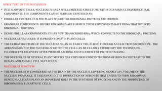 Cell biology - NUCLEOLUS, NUCLEOPLASM, CHROMATIN.pptx