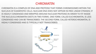 Cell biology - NUCLEOLUS, NUCLEOPLASM, CHROMATIN.pptx