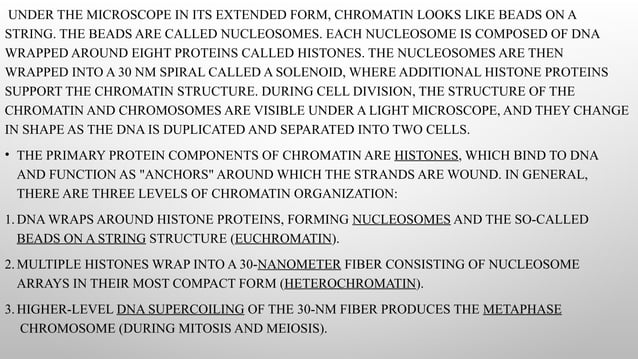 Cell biology - NUCLEOLUS, NUCLEOPLASM, CHROMATIN.pptx