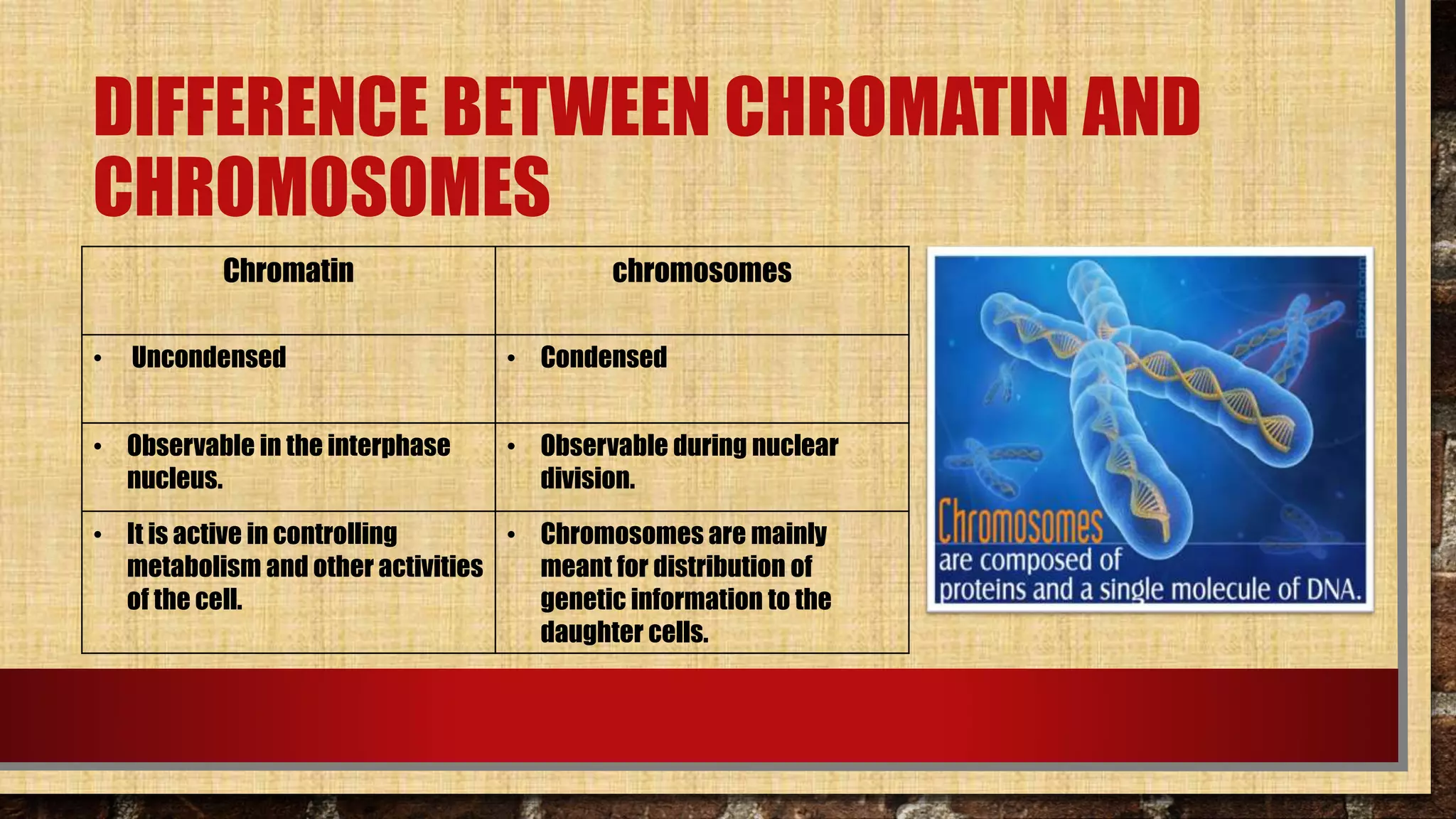 nucleoplasm.pptx
