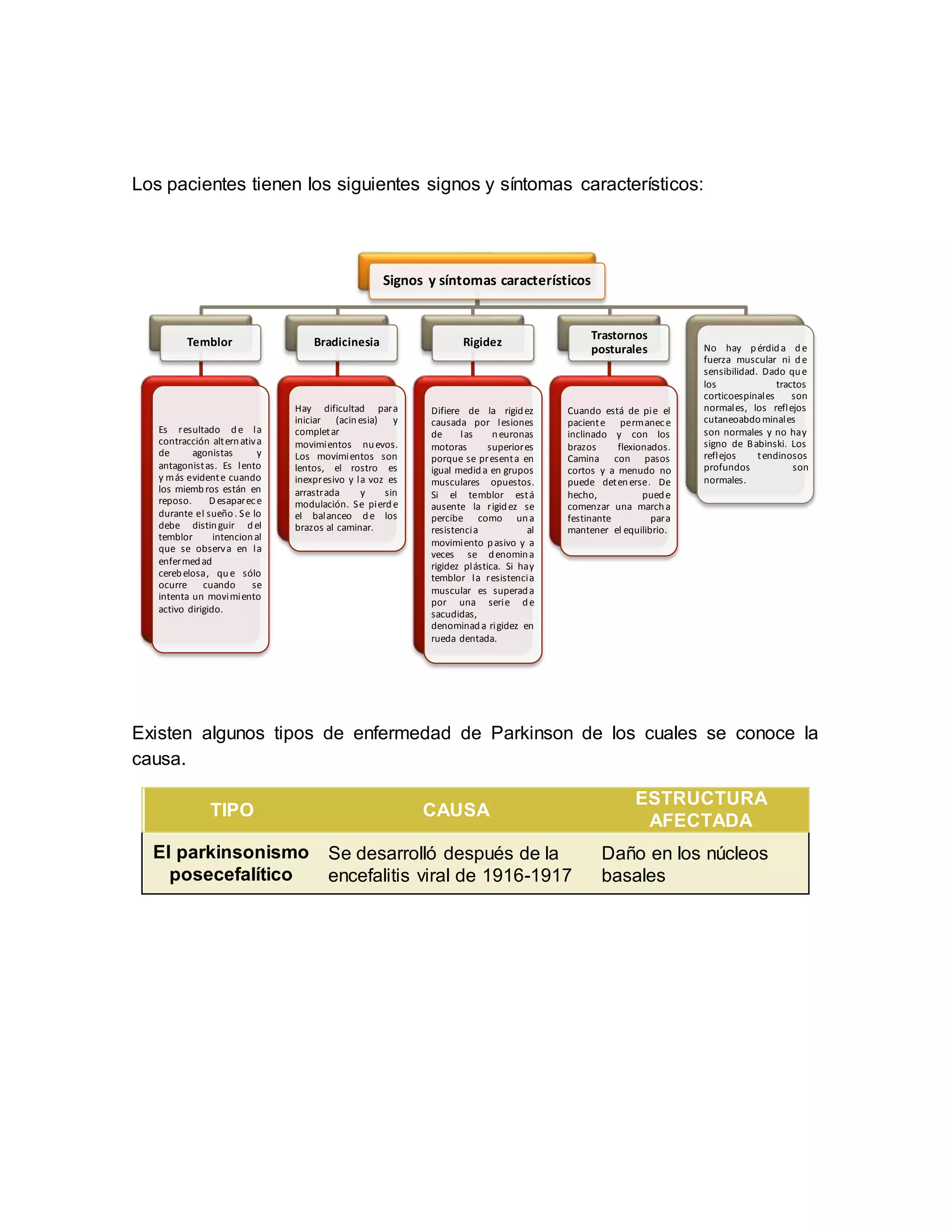 Nucleos basales | DOCX