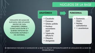 Núcleos de la base | PDF