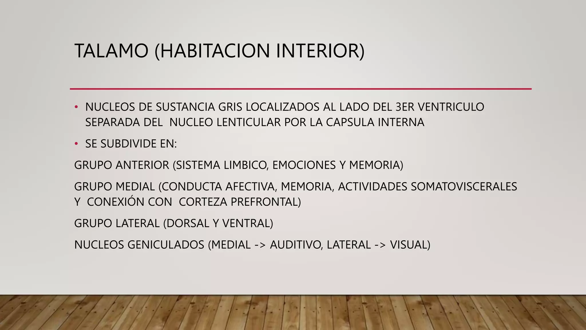 NUCLEOS DE LA BASE,SUSTANCIA BLANCA, TALAMO E HIPOTALAMO.pptx