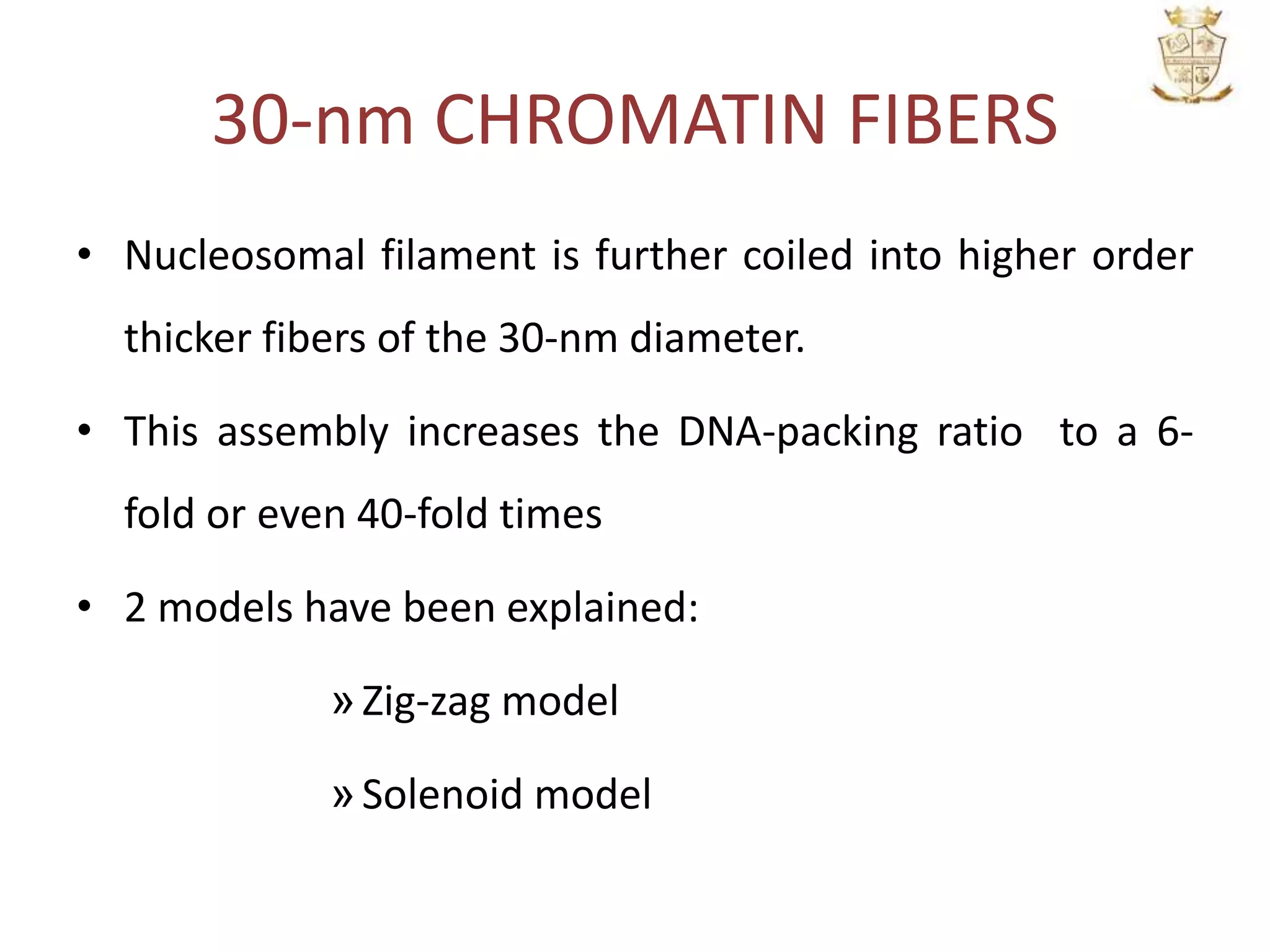LEVELS OF CHROMATIN ORGANIZATION | PPTX