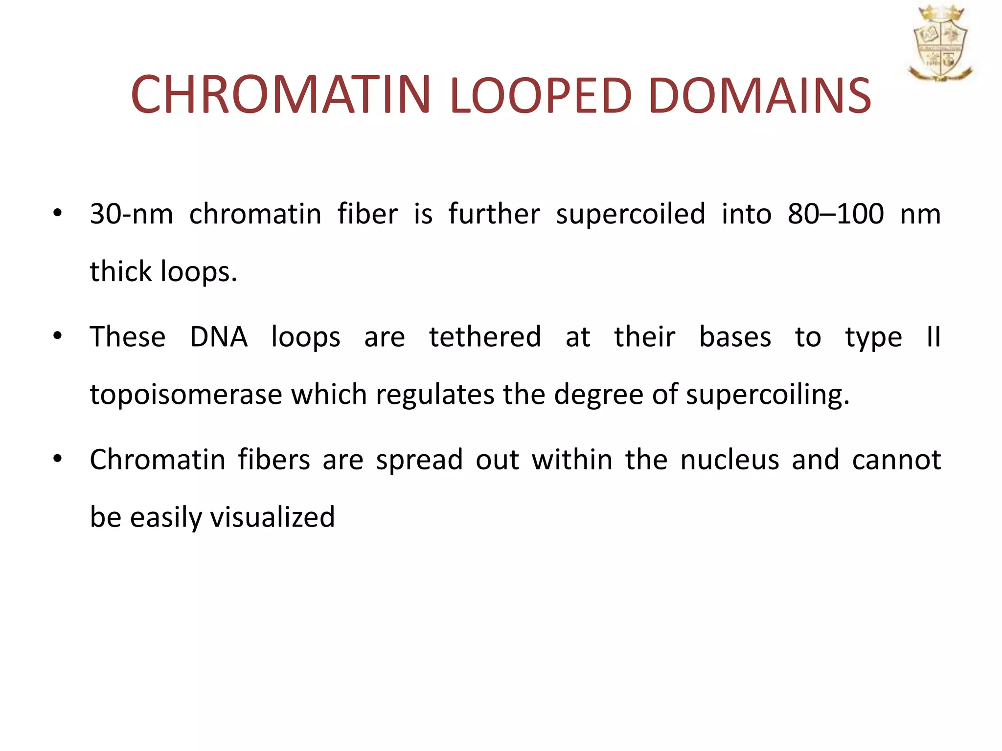 LEVELS OF CHROMATIN ORGANIZATION | PPTX