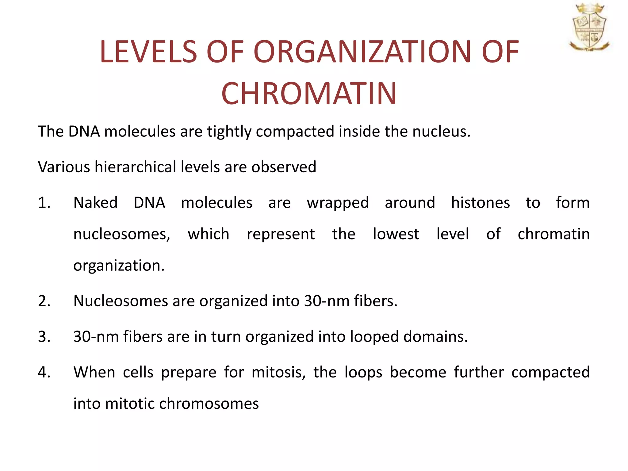 LEVELS OF CHROMATIN ORGANIZATION | PPTX