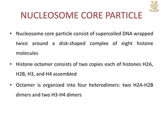 LEVELS OF CHROMATIN ORGANIZATION | PPTX