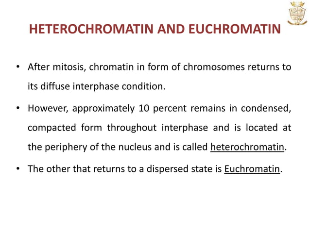 LEVELS OF CHROMATIN ORGANIZATION | PPTX