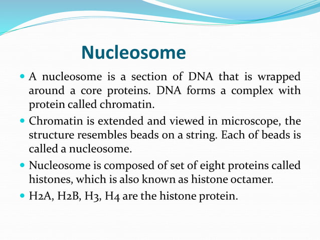 Nucleosome | PPTX | Genetics | Science