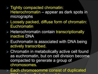 Nucleosome and chromatin | PPTX