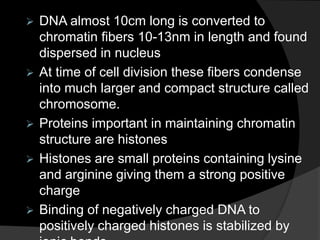 Nucleosome and chromatin | PPTX