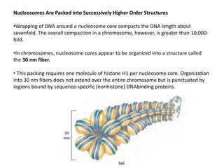 Nucleosome and chromatin structure | PPTX