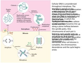 Nucleosome and chromatin structure | PPTX