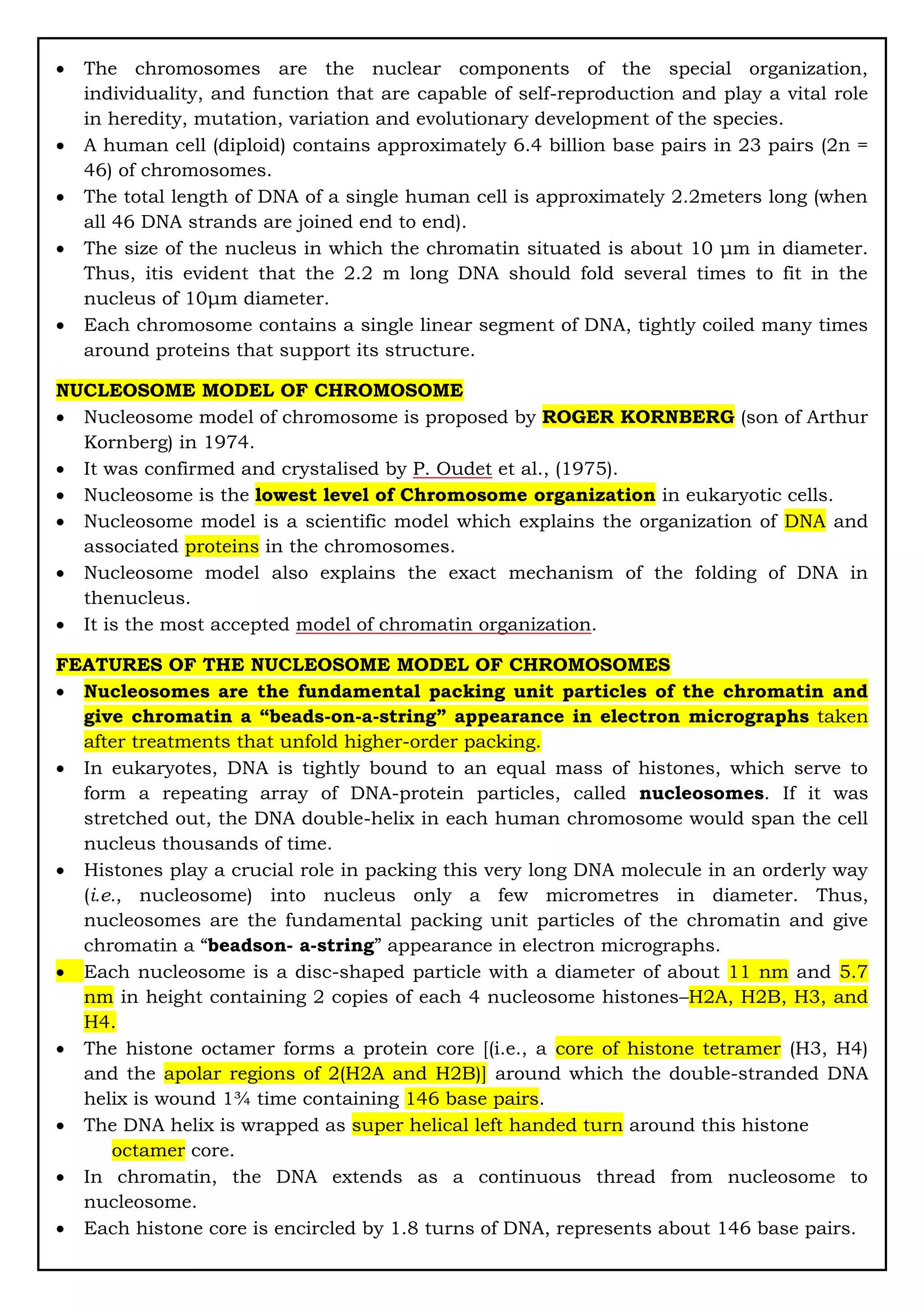 NUCLEOSOME MODEL OF CHROMOSOME | PDF