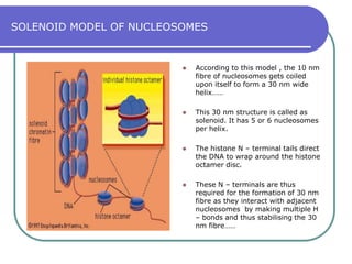 Nucleosome Structure