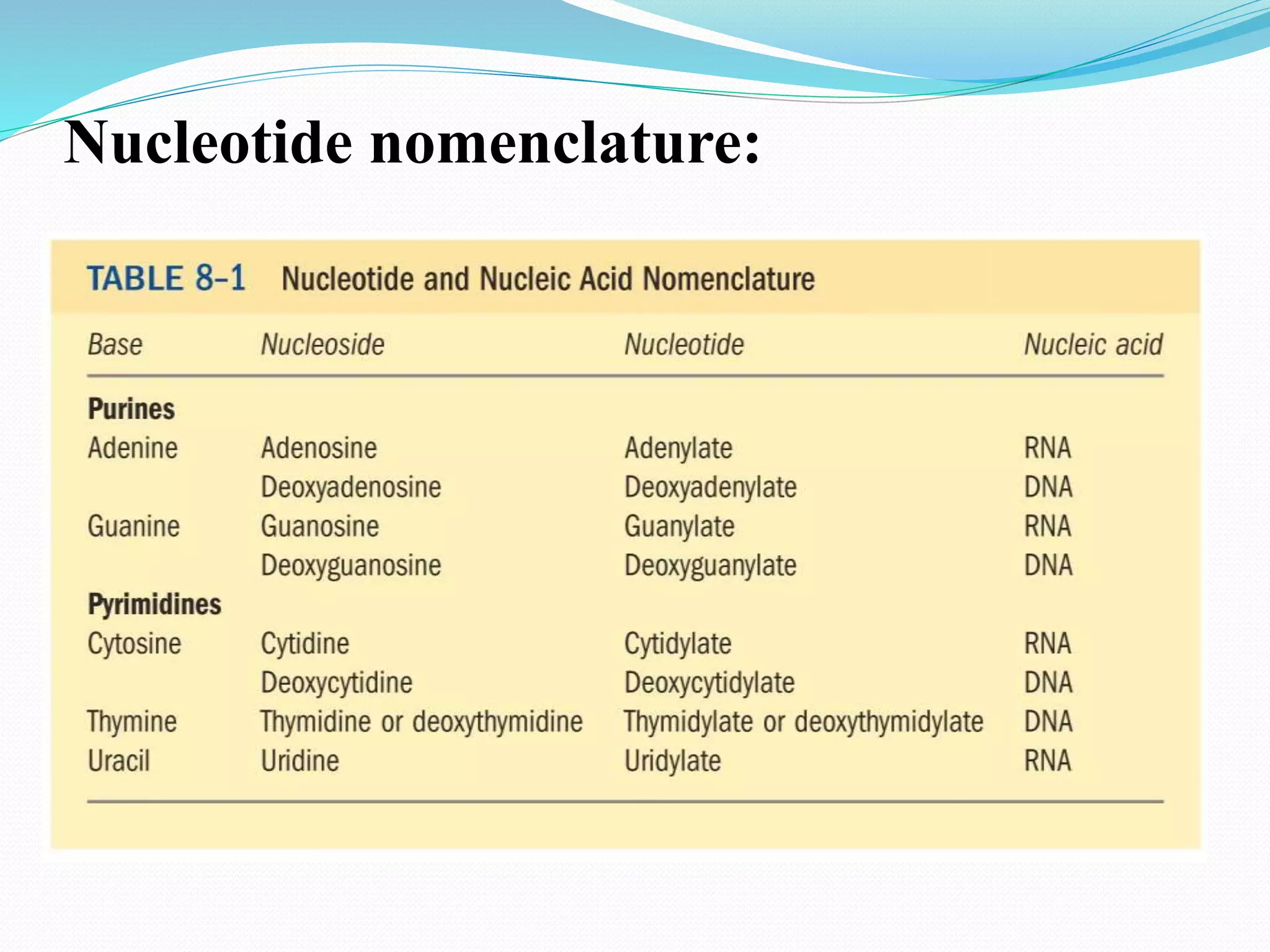 Nucleotide | PPTX