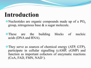 Nucleotide | PPTX