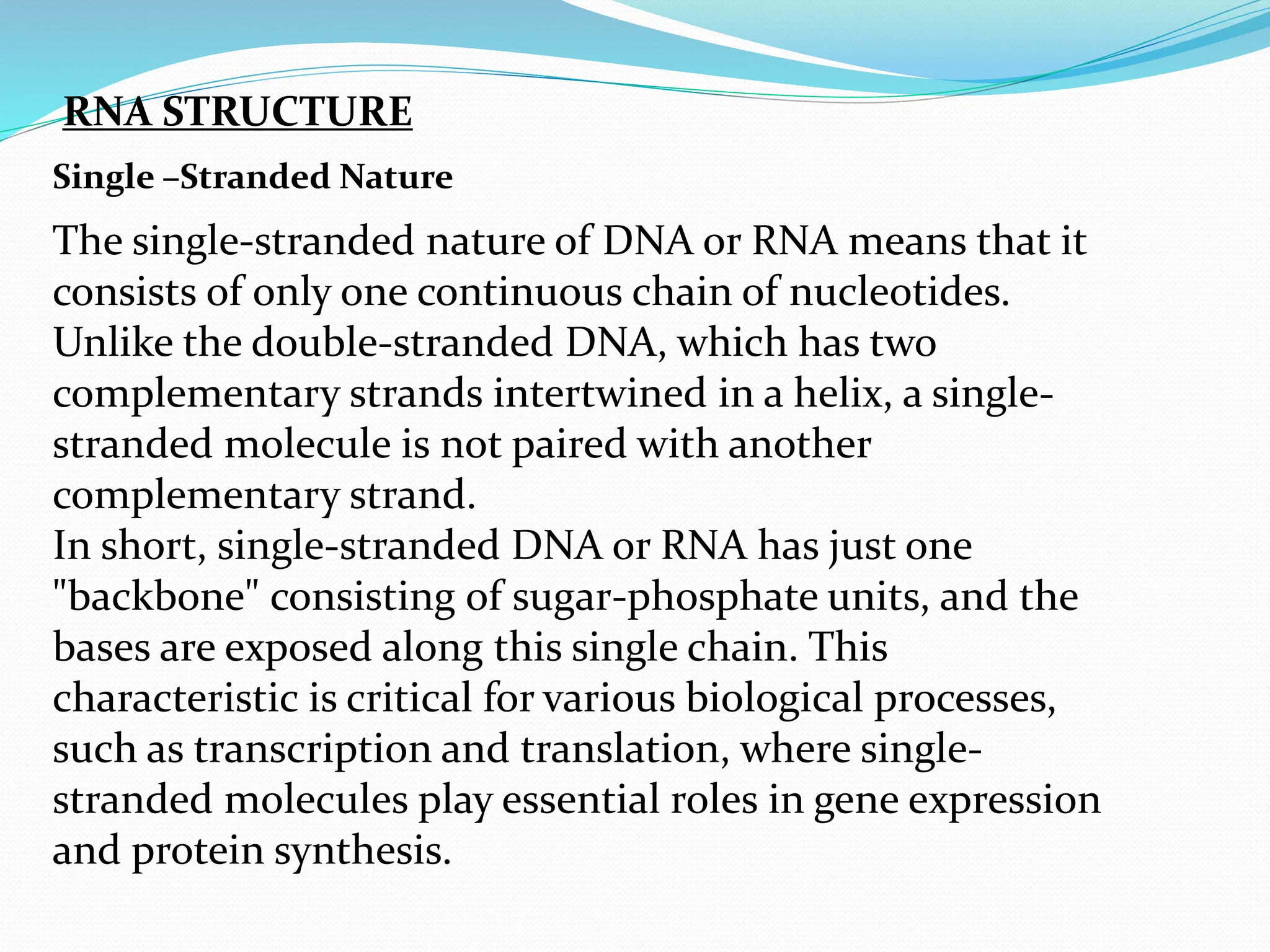 NUCLEOTIDEs structure and functions.pptx