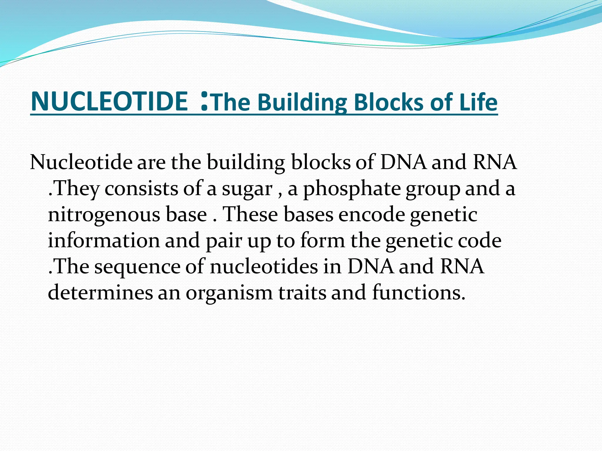 NUCLEOTIDEs structure and functions.pptx