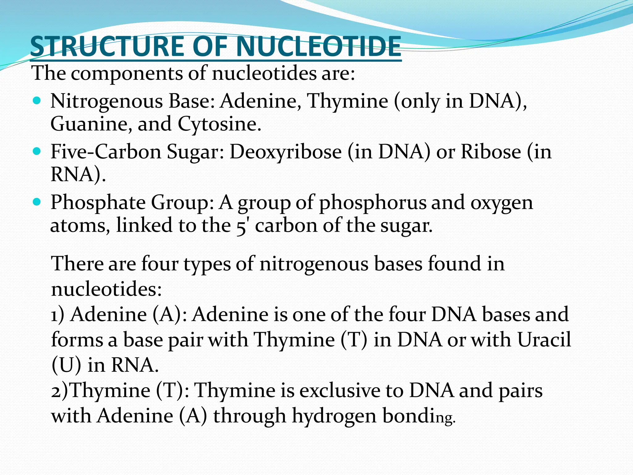 NUCLEOTIDEs structure and functions.pptx