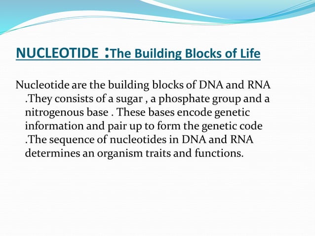 NUCLEOTIDEs structure and functions.pptx | Genetics | Science