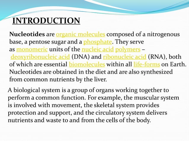 NUCLEOTIDEs structure and functions.pptx | Genetics | Science