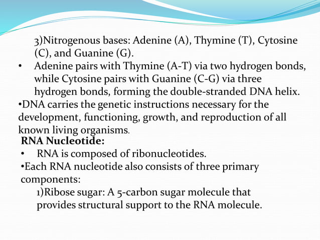 NUCLEOTIDEs structure and functions.pptx | Genetics | Science