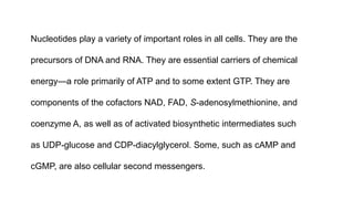 Nucleotide-Metabolism-presentation-16-11-25.pptx