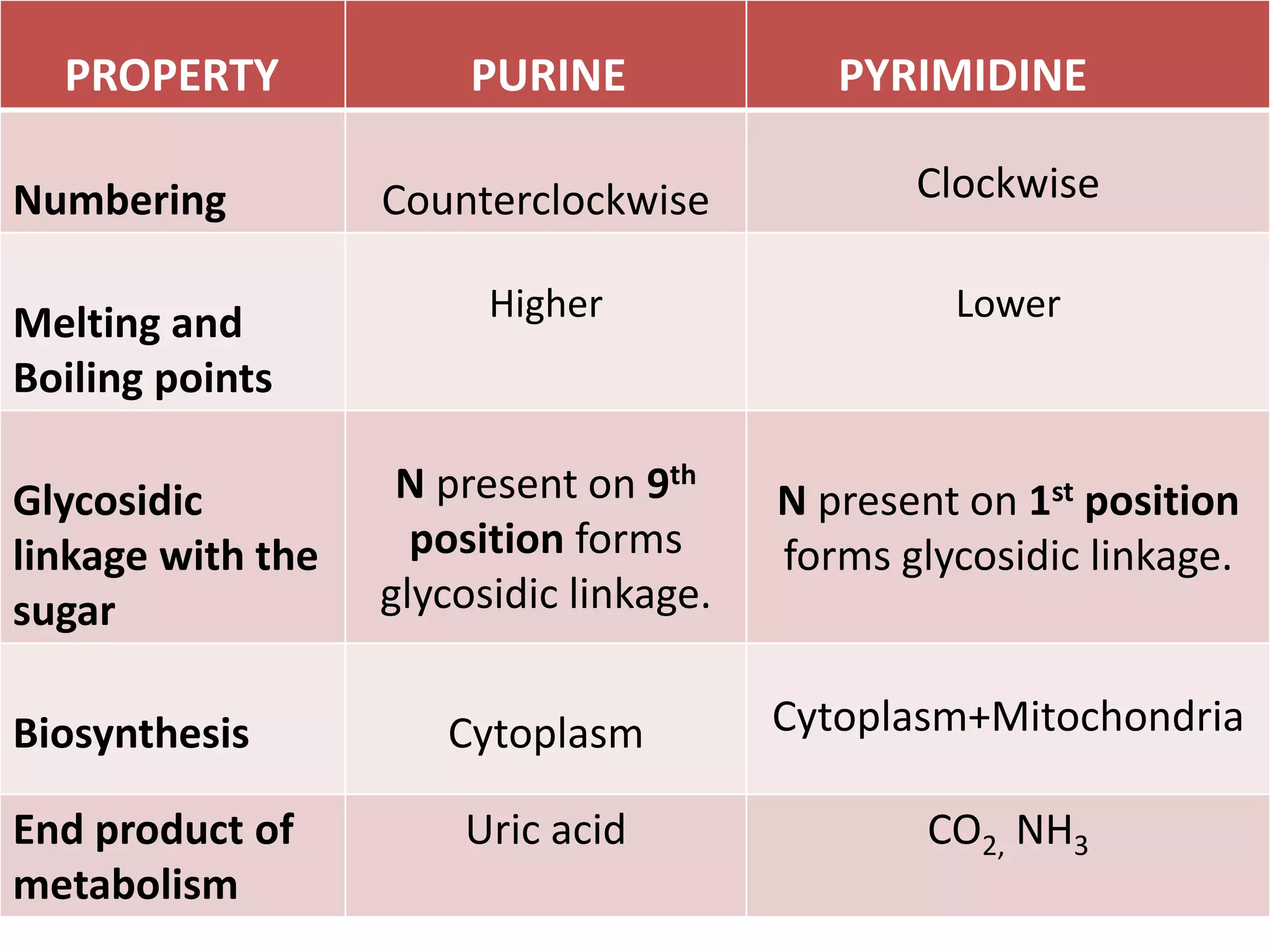 Nucleotide Chemistry - Basics | PPTX