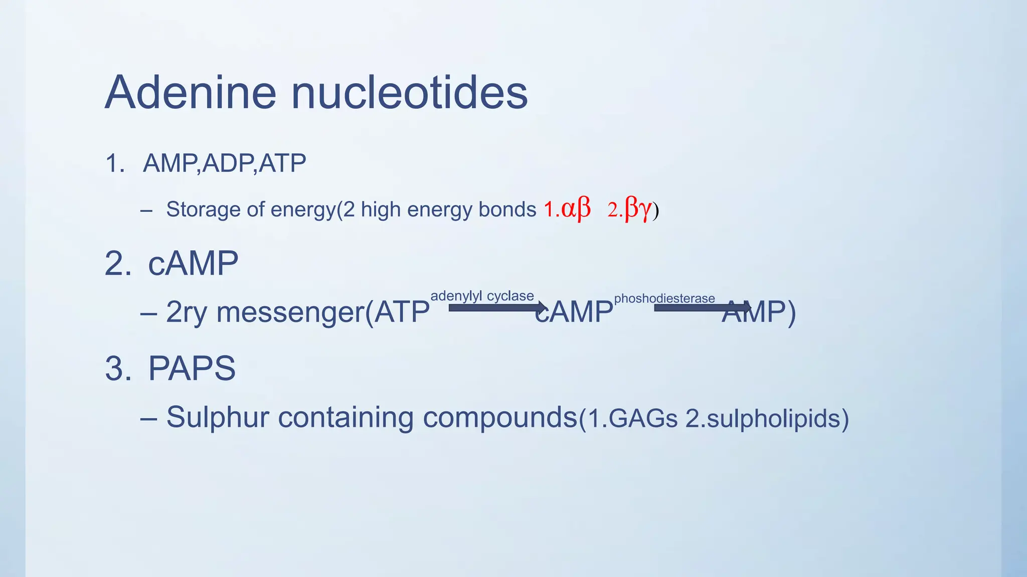 Nucleotide chemistry.pptx