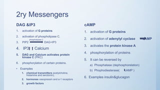 Nucleotide chemistry.pptx