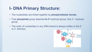Nucleotide chemistry.pptx