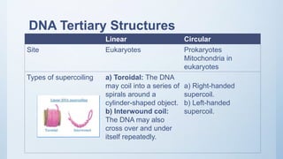 Nucleotide chemistry.pptx