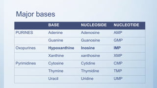 Nucleotide chemistry.pptx