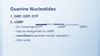 Nucleotide chemistry.pptx